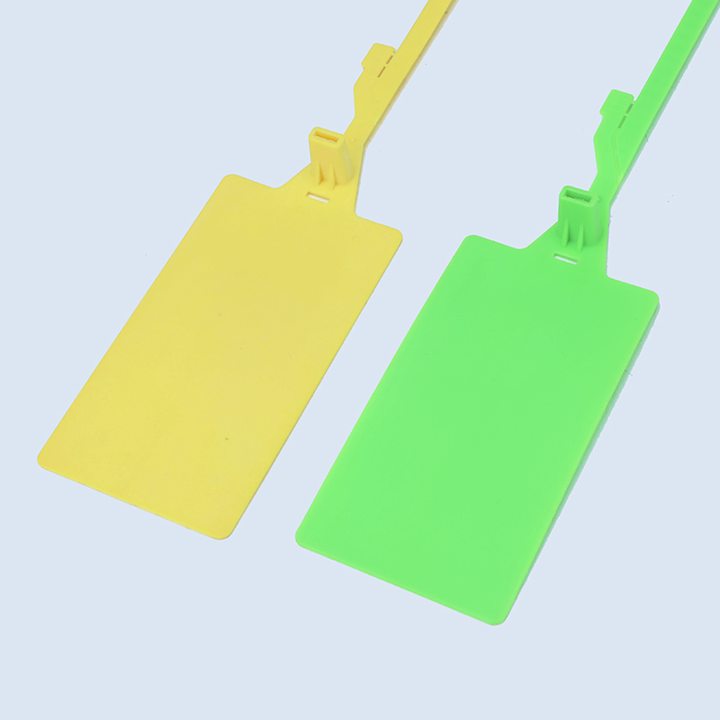 Wholesale BigTag TL Seal – Accory Big Tag Pull-up Plastic Strap Seals ...