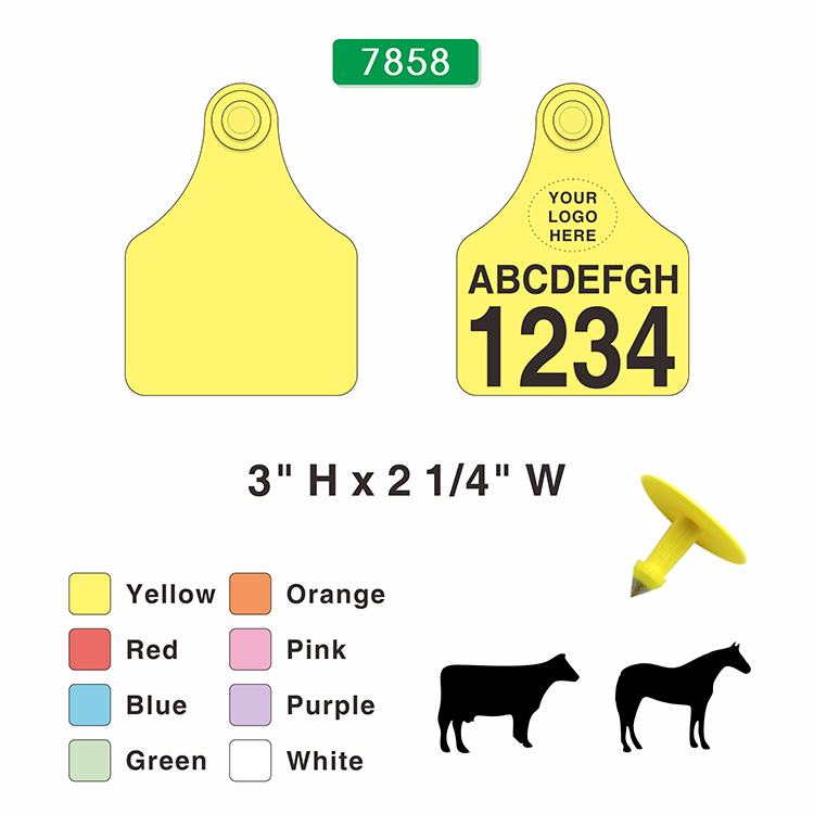Wholesale Large Cattle Ear Tags 7858, Insured Numbered Ear Tags ...